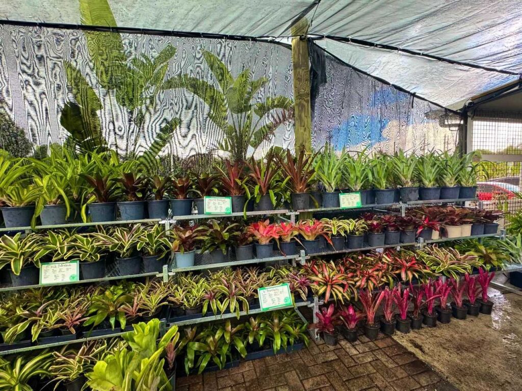 Delivery & Planting Services - Meyers Turf